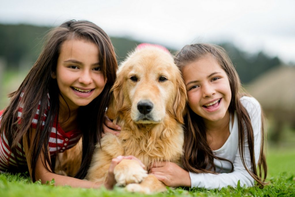 Princess Jackie, Her Highness the Dogginess | Jackie’s Website