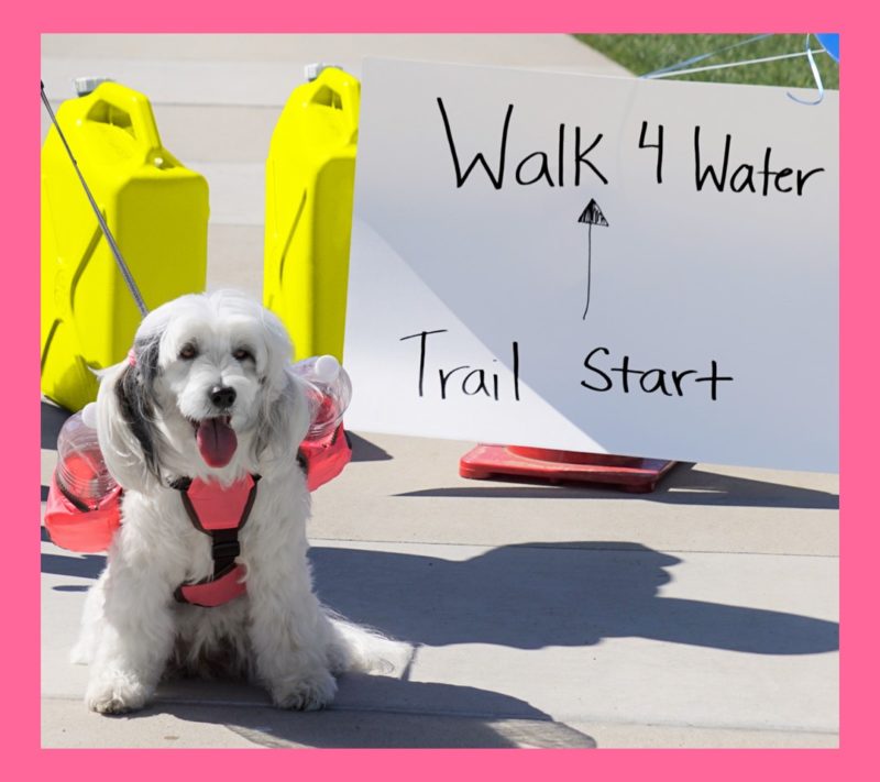 Princess Jackie, Her Highness the Dogginess | Jackie’s Website